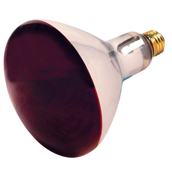 Halco 104044 R40RED250/10 250W BR40 Ruby Red Infrared Heat Lamp ...